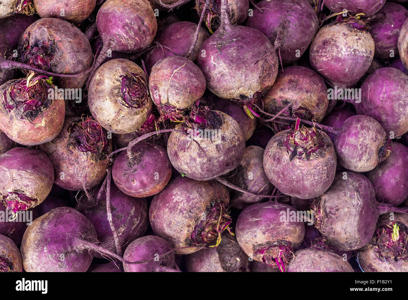 The close up of beet root background / texture Stock Photo - Alamy