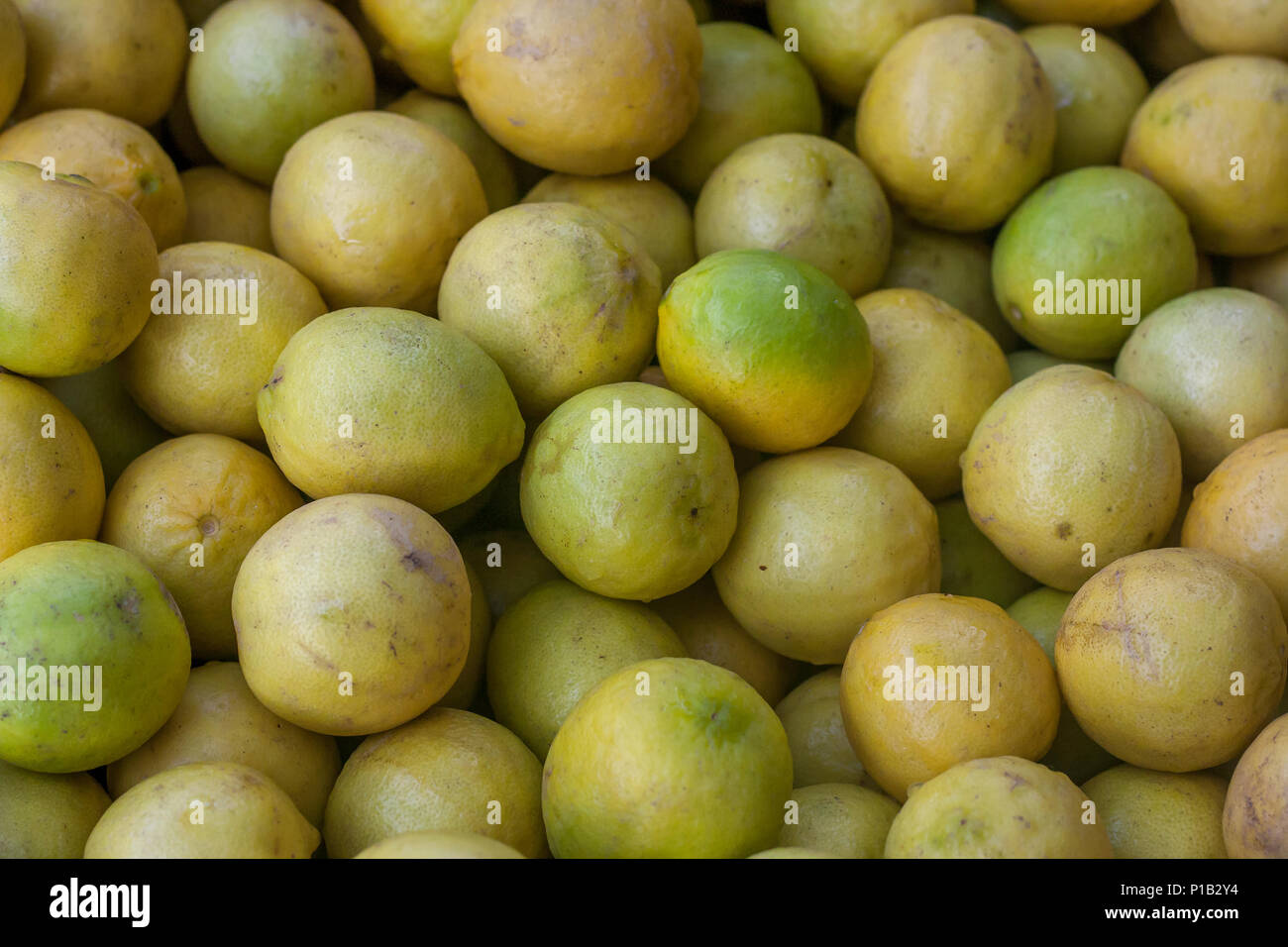 The close up of Lemon / Lime Stock Photo - Alamy