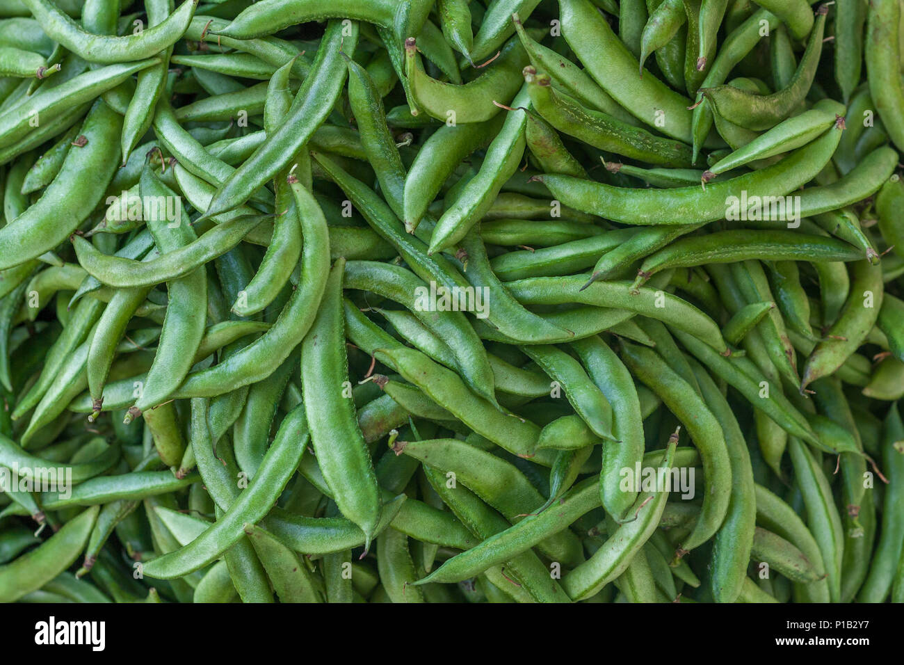 Close up / Background of vegetable beans Stock Photo - Alamy