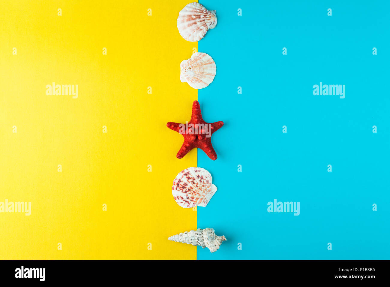 seashells and starfish laid out in a line Stock Photo - Alamy