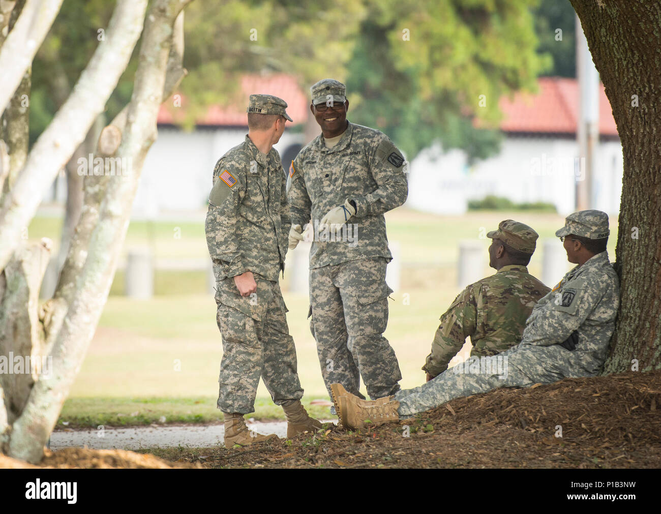 U.S. Army Reserve soldiers with the 335th Signal Command (Theater ...