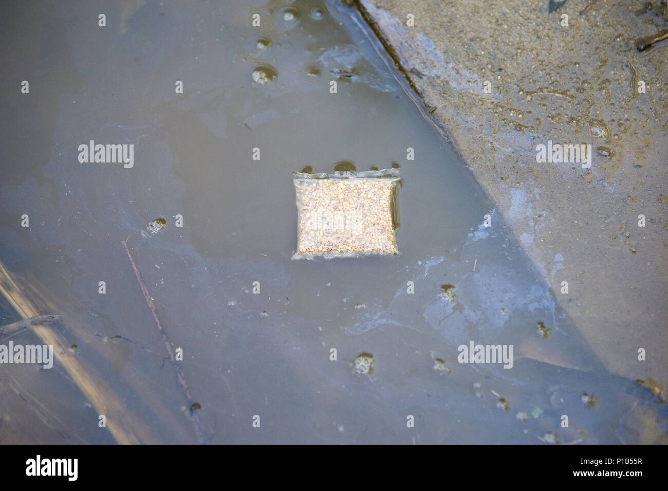 Microbial insecticide hi-res stock photography and images - Alamy