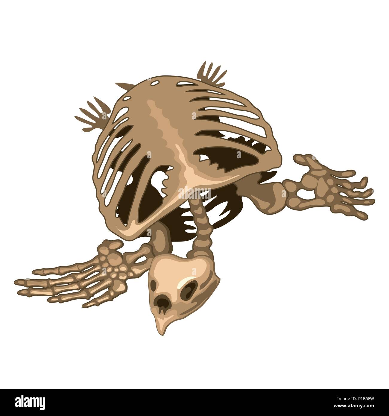 The skeleton of a prehistoric turtle isolated on white background ...
