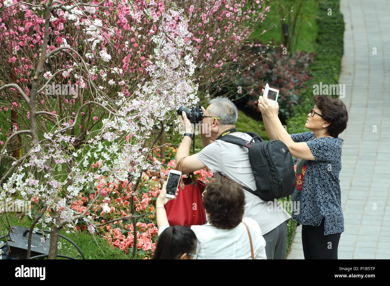 Old folks using DSLR camera or mobile phones to capture the beauty of ...