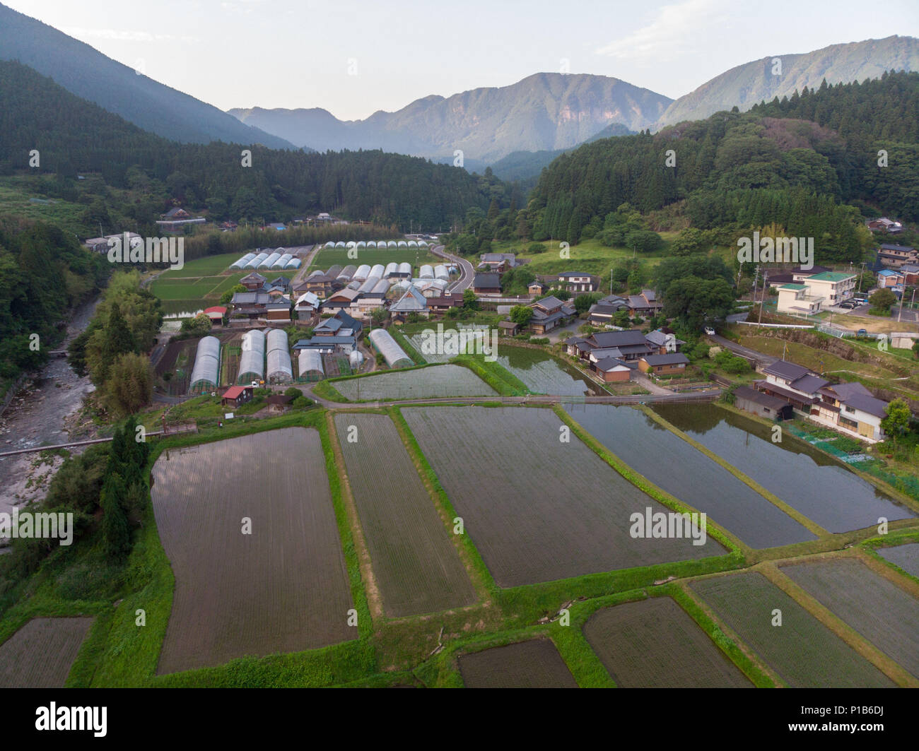 Aerial view greenhouses small rice hi-res stock photography and images ...