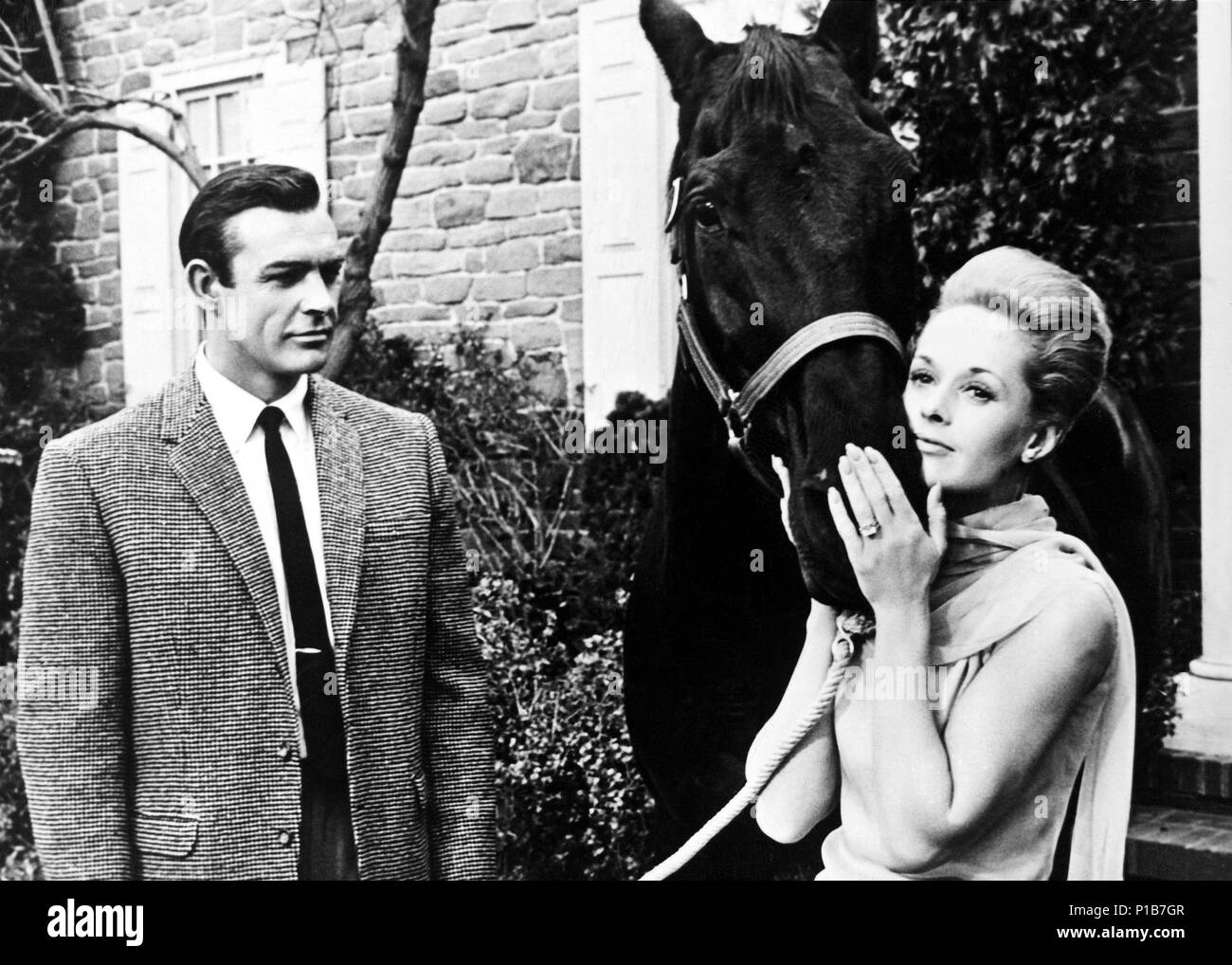 Original Film Title: MARNIE. English Title: MARNIE. Film Director ...