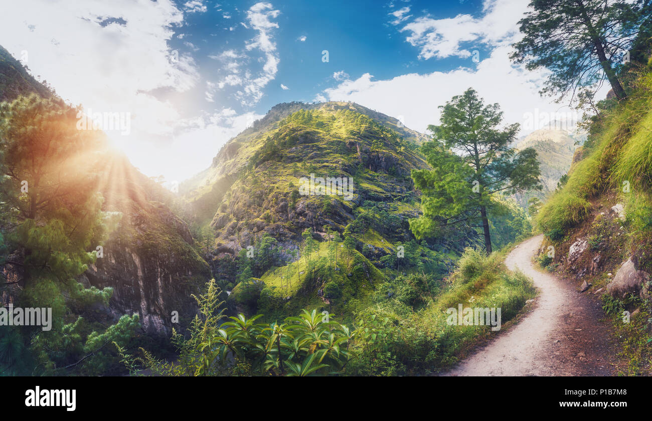 Amazing scene with Himalayan mountains covered green grass and trees ...