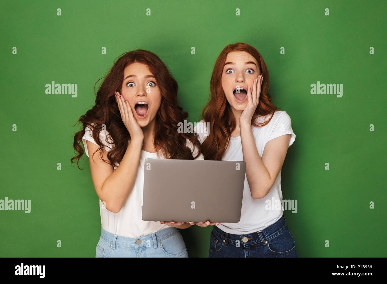 Portrait of two shocked young redhead girls holding laptop computer and ...