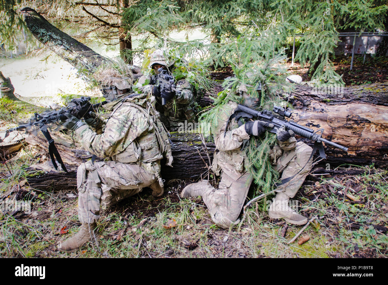 Capparelli hi-res stock photography and images - Alamy