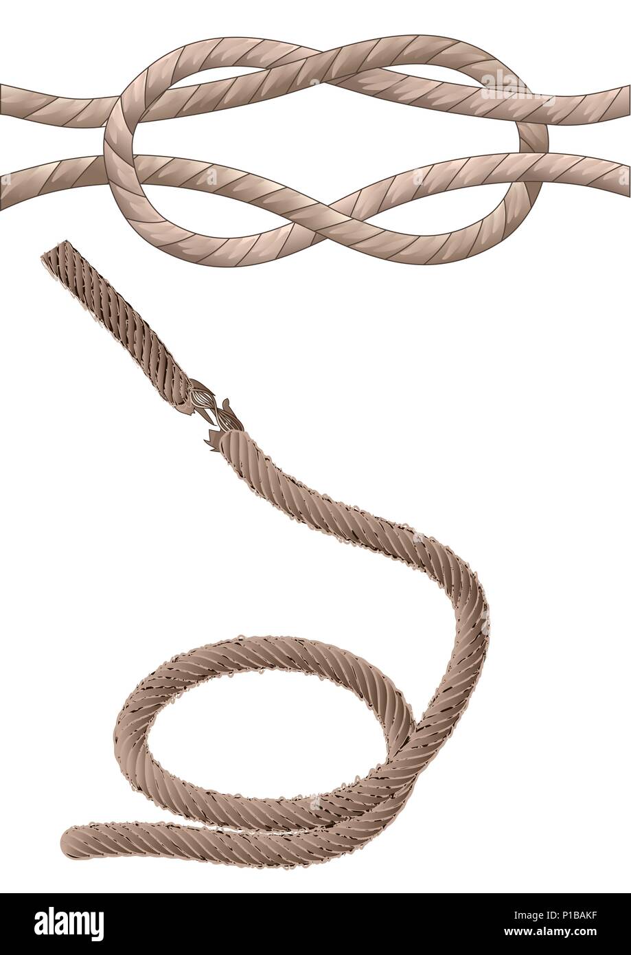 two old rope isolated on the white background Stock Vector Image & Art ...