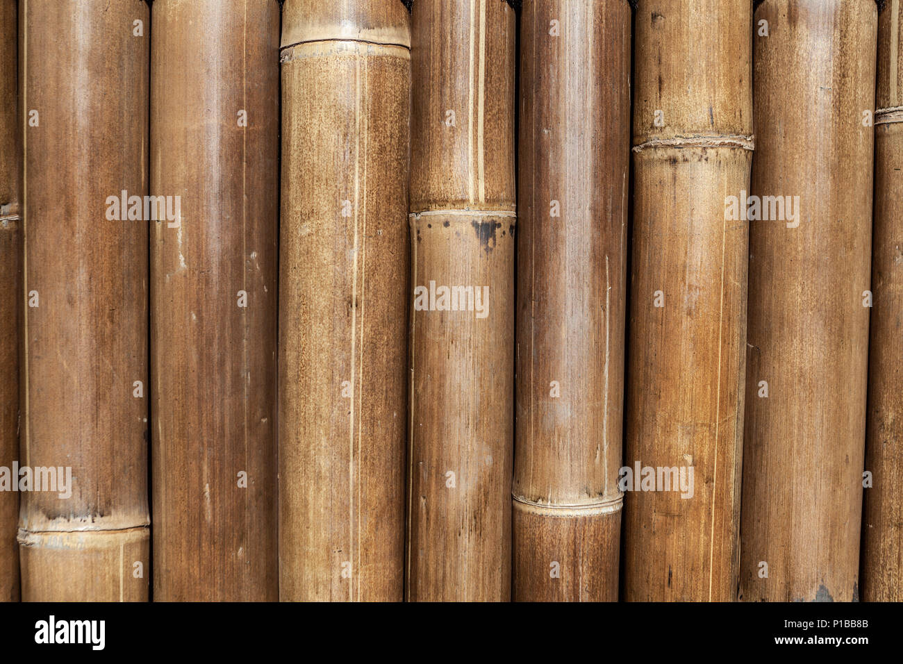 Bamboo trunks background texture Stock Photo - Alamy