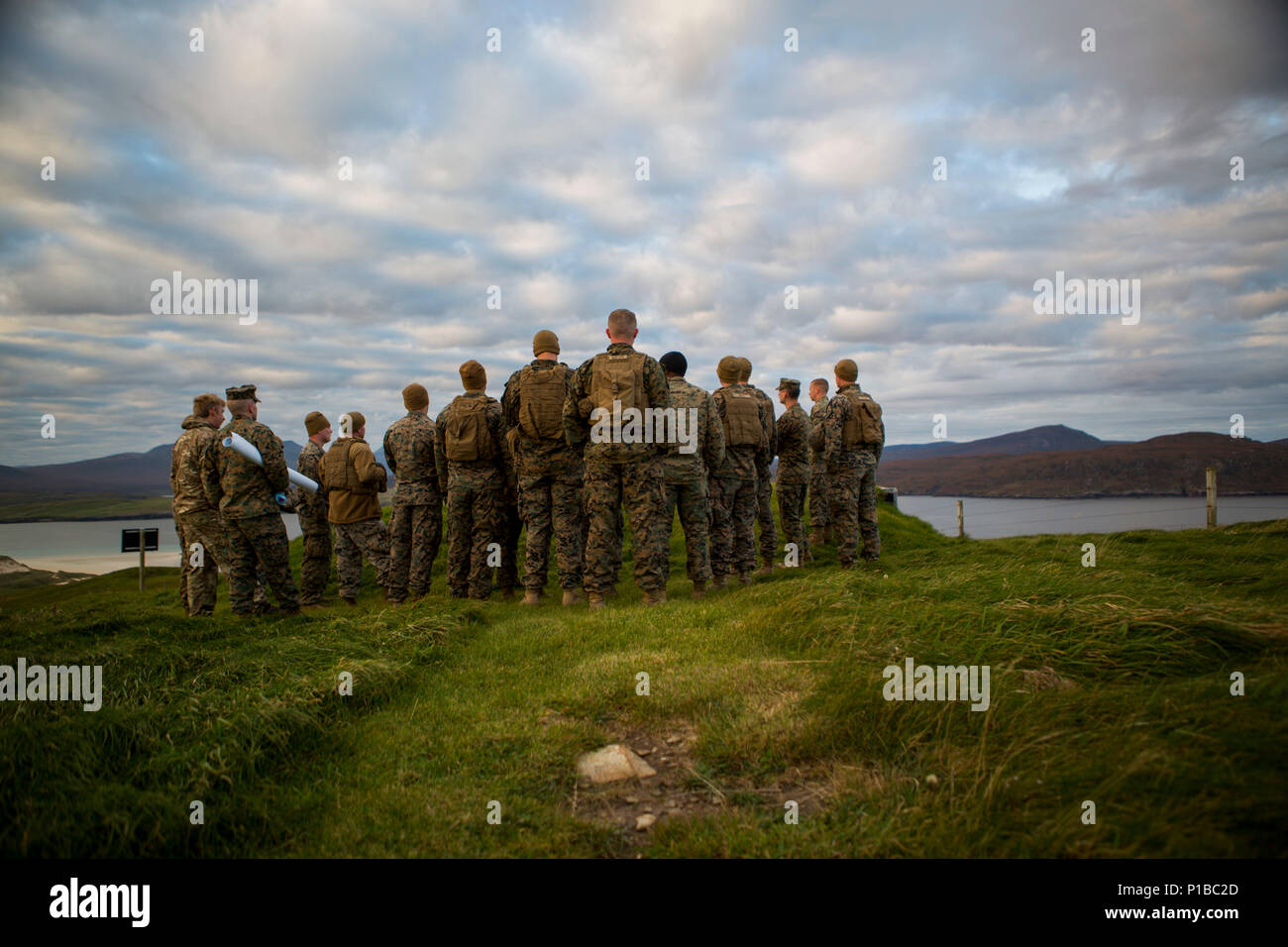 U.S. Marines with 2nd Air Naval Gunfire Liaison Company (2d ANGLICO ...