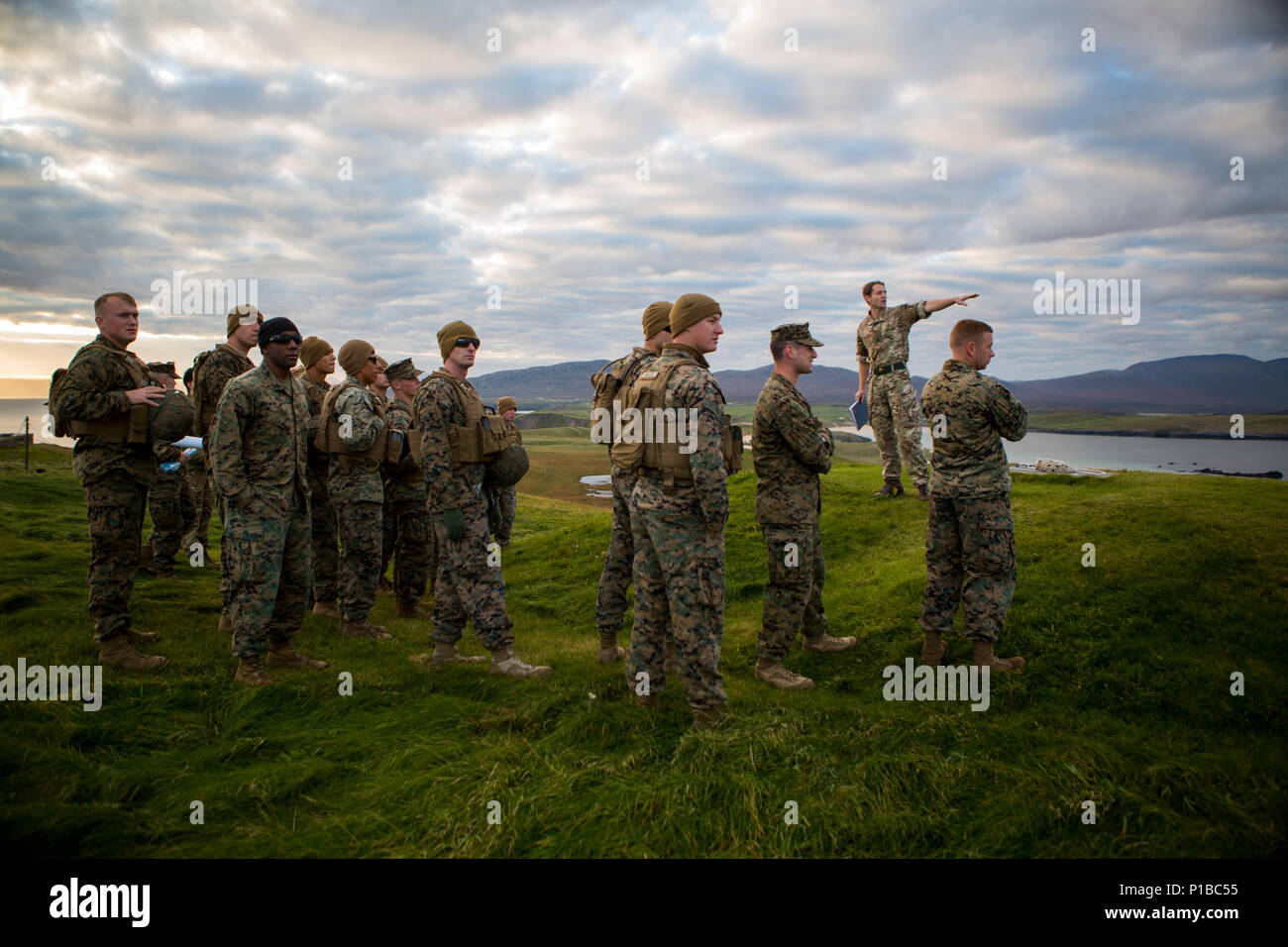 2d anglico hi-res stock photography and images - Alamy