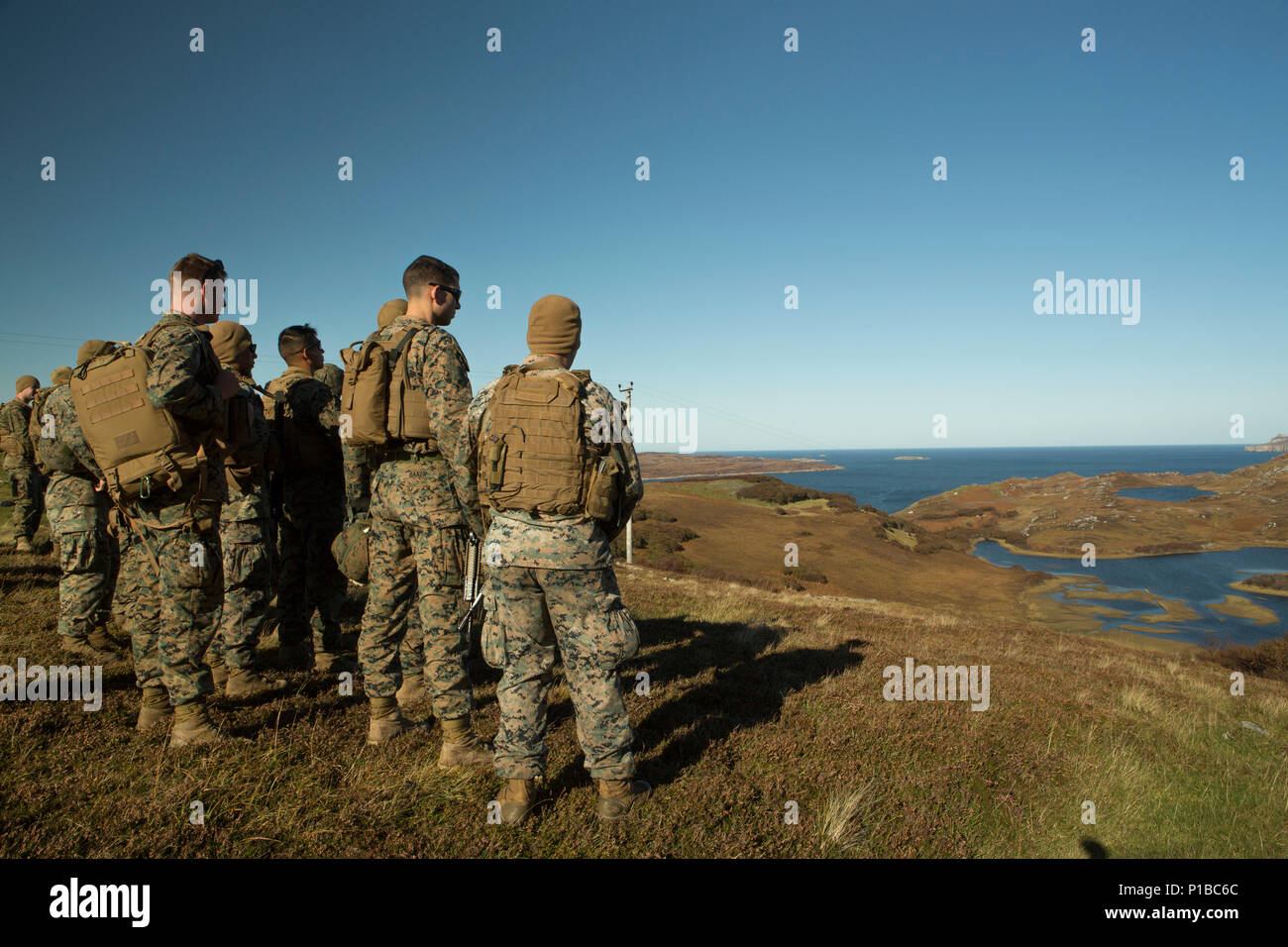 U.S. Marines with 2nd Air Naval Gunfire Liaison Company (2d ANGLICO ...