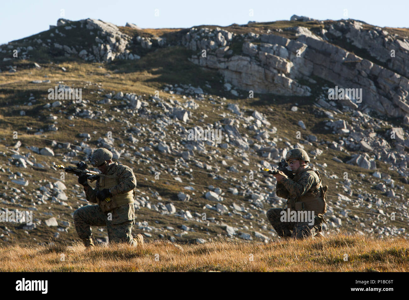 U.S. Marines with 2nd Air Naval Gunfire Liaison Company (2d ANGLICO ...