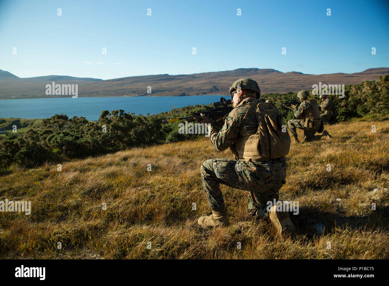 U.S. Marines with 2nd Air Naval Gunfire Liaison Company (2d ANGLICO ...