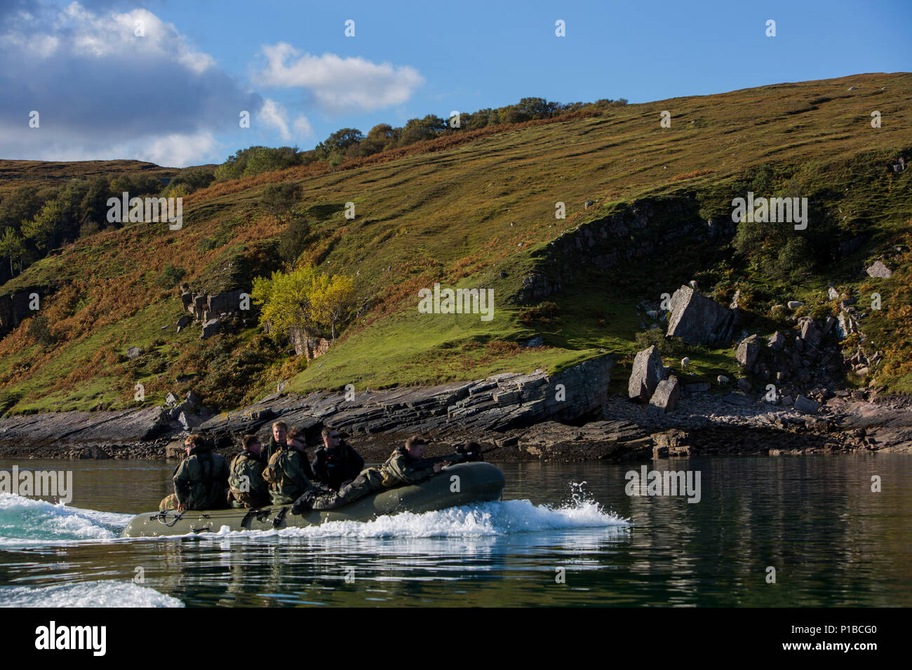 U.S Marines with 2nd Air Naval Gunfire Liaison Company (2d ANGLICO ...