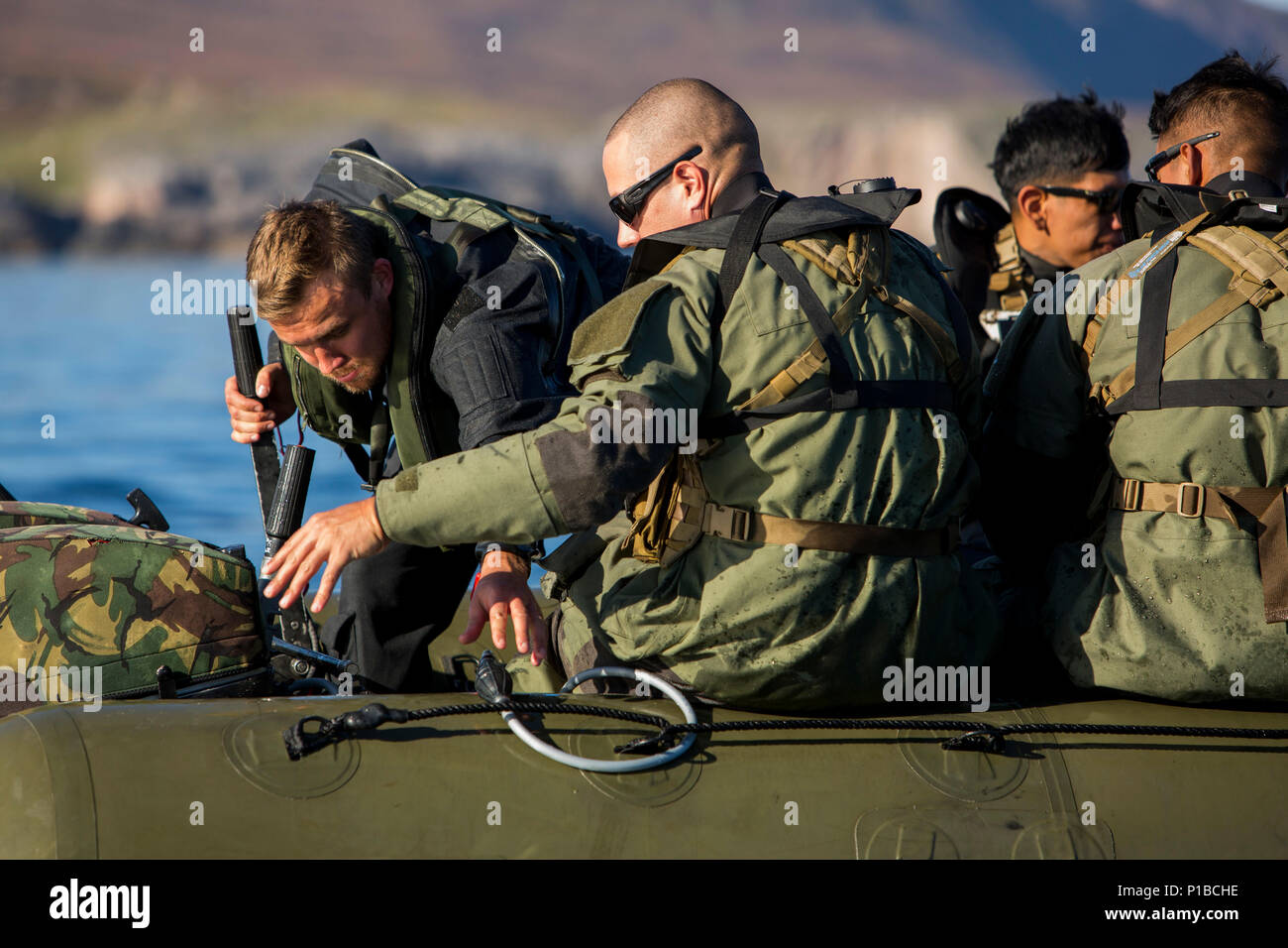 U.S Marines with 2nd Air Naval Gunfire Liaison Company (2d ANGLICO ...