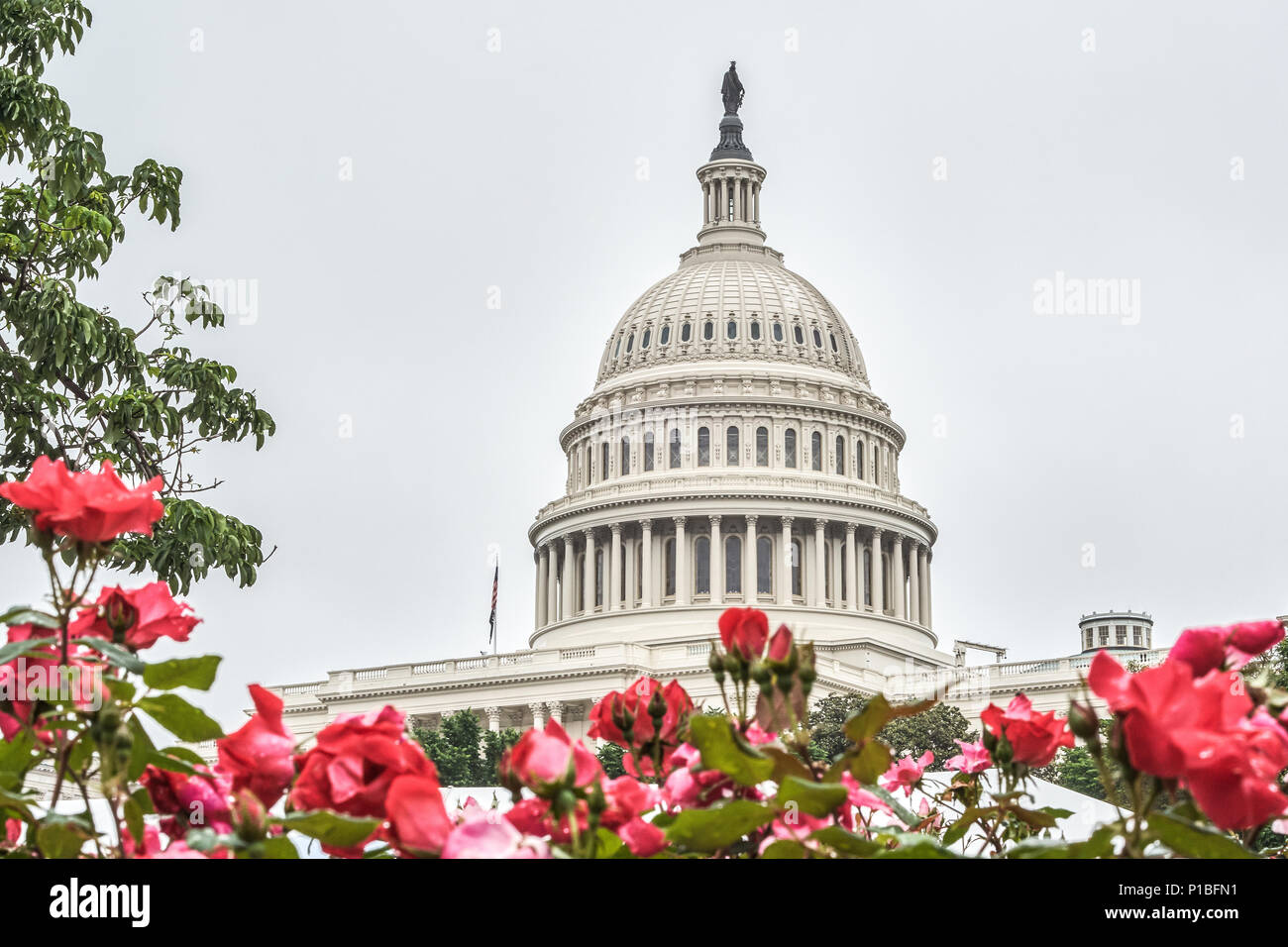 Washington DC, United States landmark. National Capitol building with ...