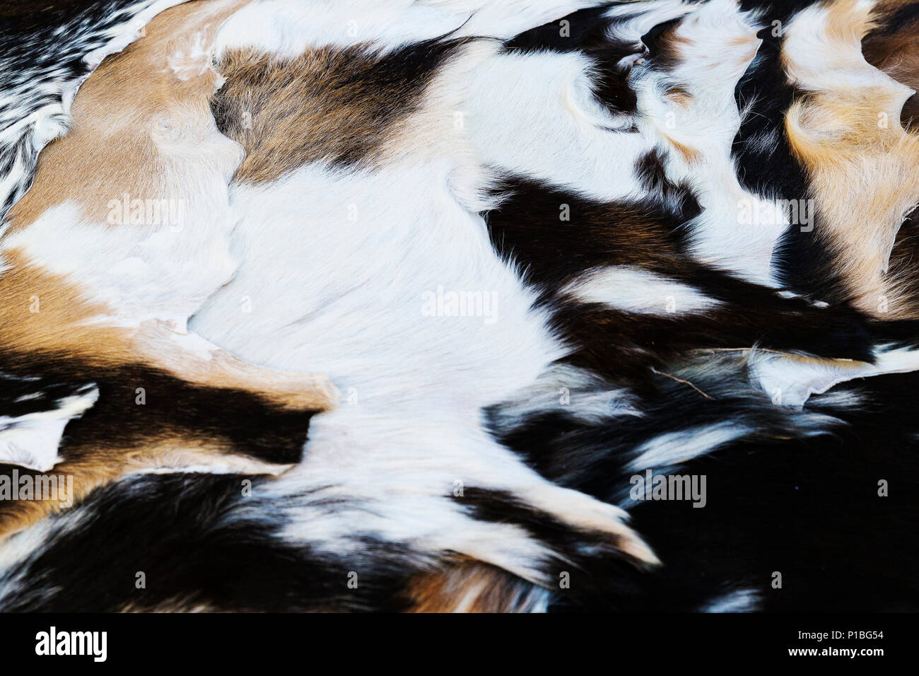 Goat hair texture hi-res stock photography and images - Alamy