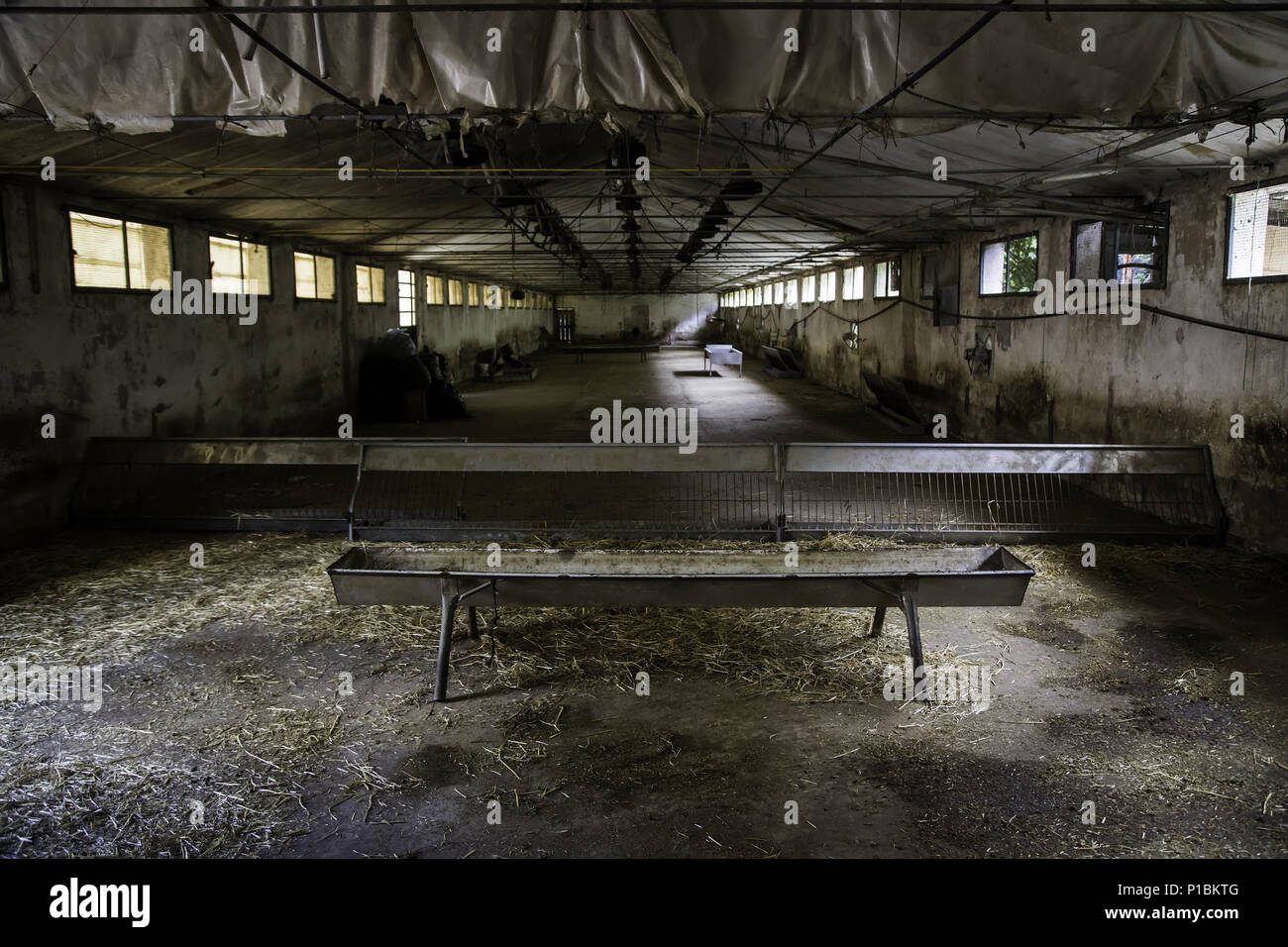 Old abandoned farm, detail of ruin and loneliness Stock Photo - Alamy