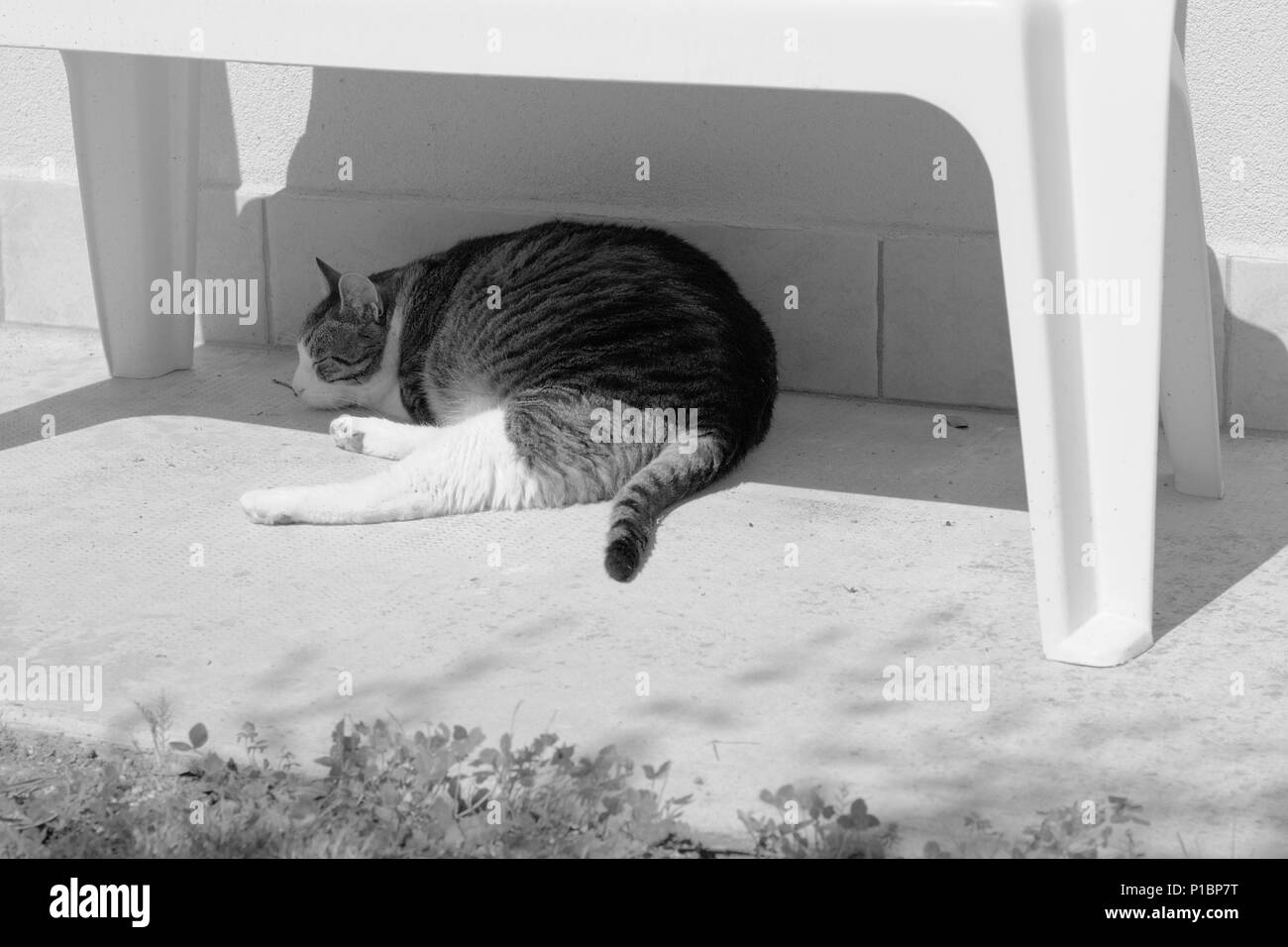 Bench photos Black and White Stock Photos & Images - Alamy