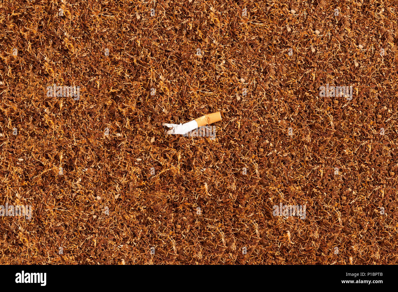 Seamless tobacco background with cigarette bud from above Stock Photo ...