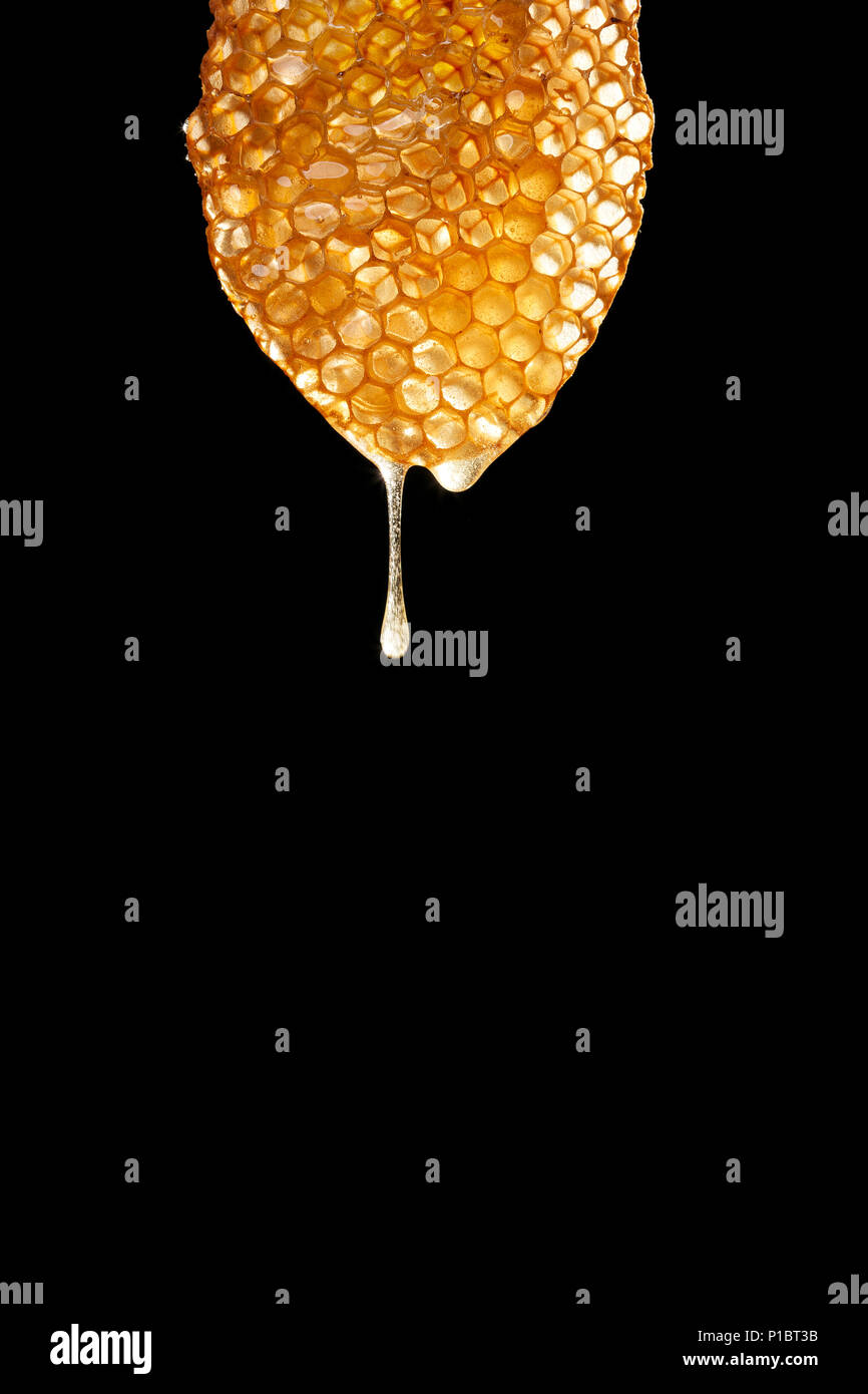 Fesh honey dropping form honey comp isolated on black background Stock ...