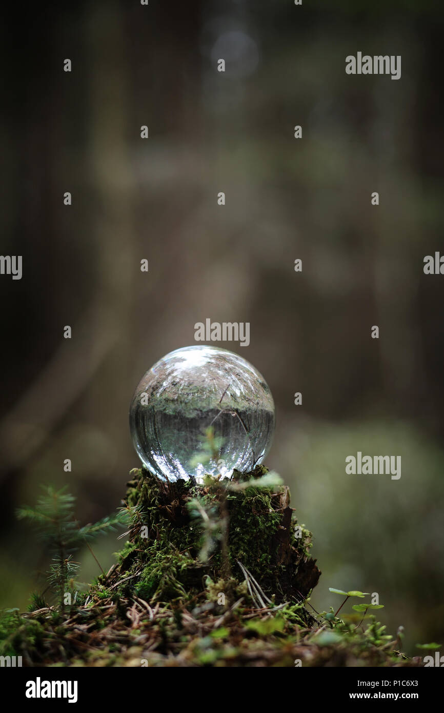 Crystal ball. Magical accessory in the woods on the stump. Ritual ball ...