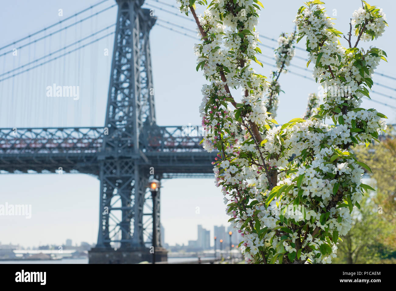 Manhattan bridge in color hi-res stock photography and images - Alamy