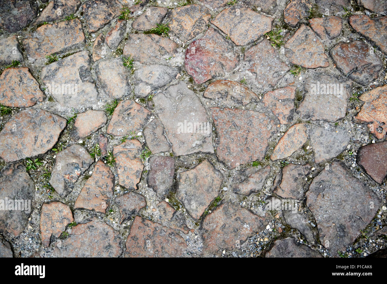 Broken Stone Pathway