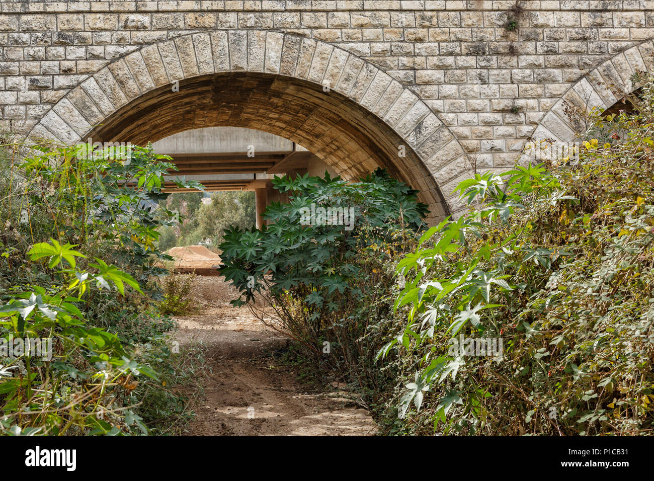 Archway.Arch is an architectural detail of the arch bridge Stock Photo ...
