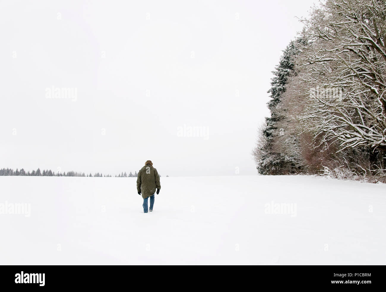 A person walking alone through the snow Stock Photo - Alamy