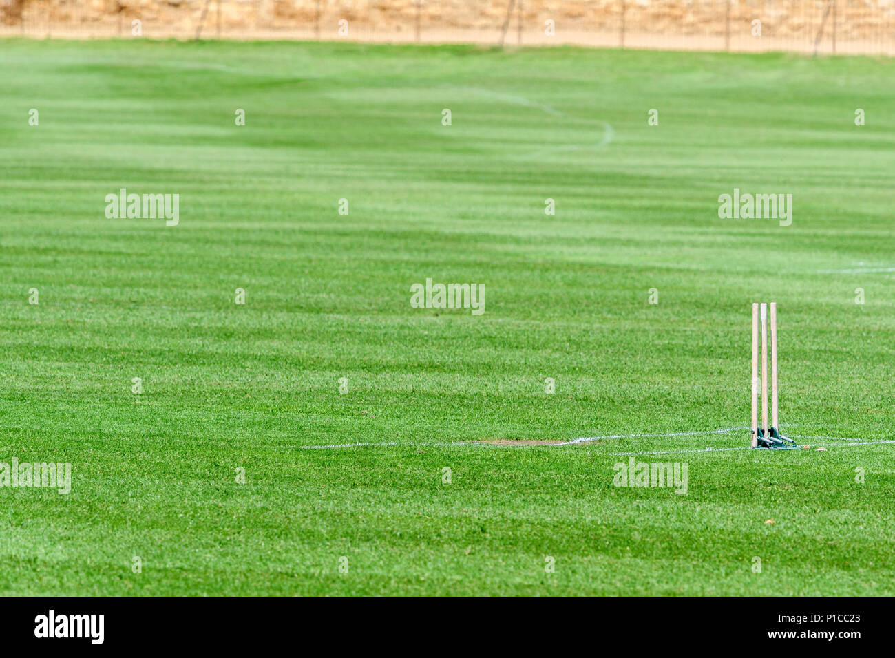 Cricket field pitch hi-res stock photography and images - Alamy