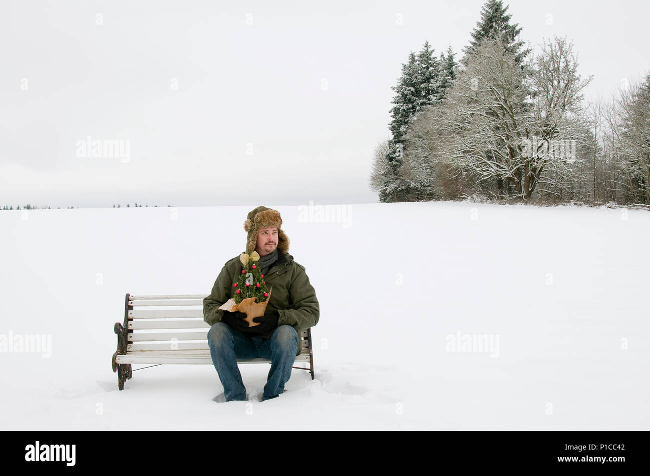Man sitting on bench snow covered hi-res stock photography and images ...