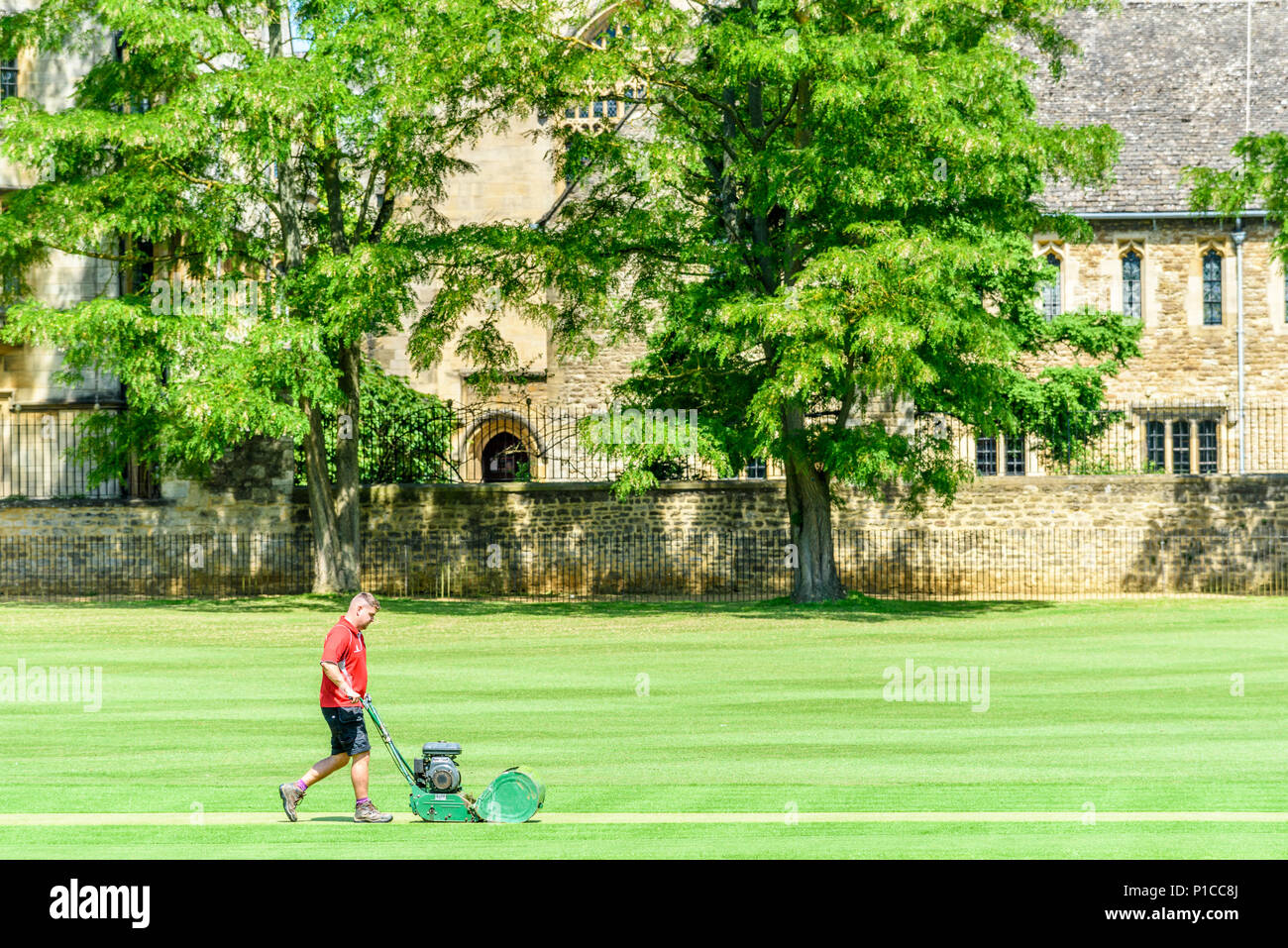 A groundsman mows the cricket pitch on the playing field (known as ...