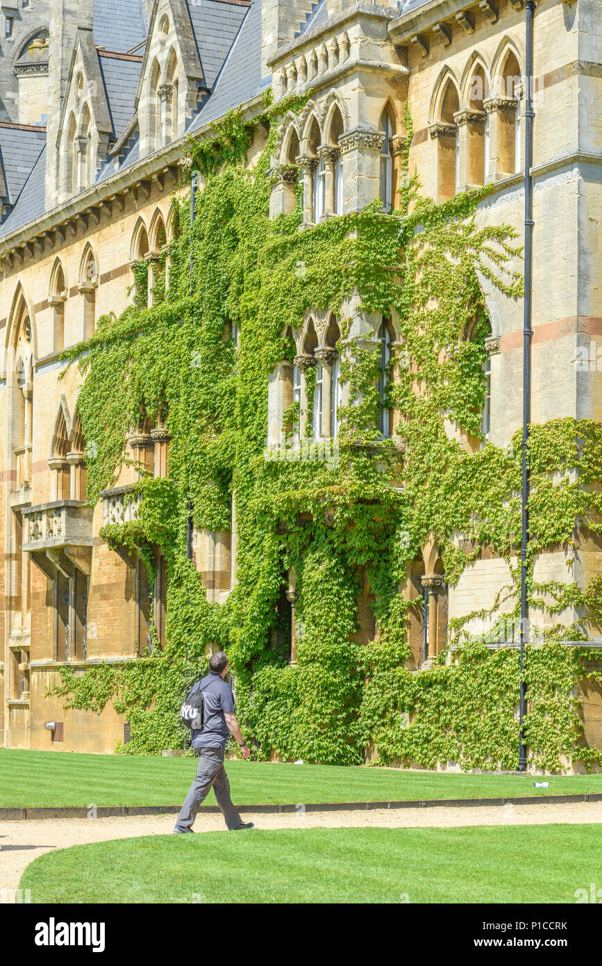 Ivy clad facade hi-res stock photography and images - Alamy