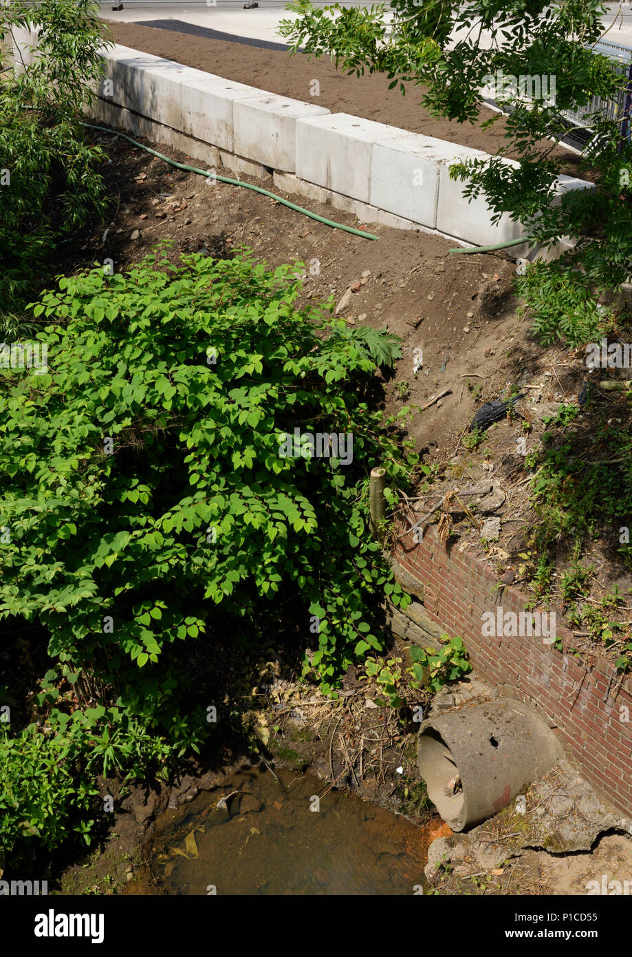 Flood prevention structure hi-res stock photography and images - Alamy