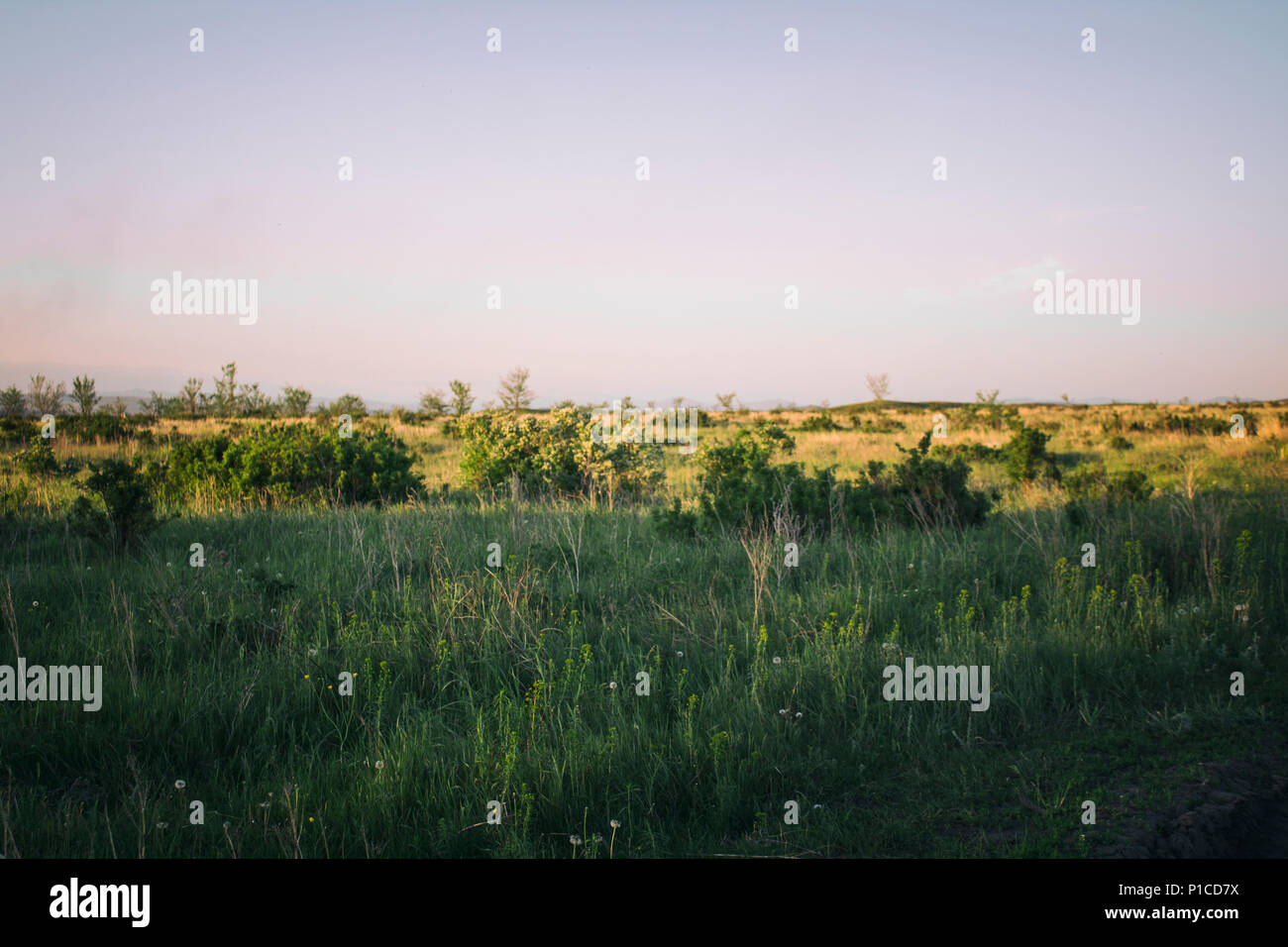 Steppe landscape hi-res stock photography and images - Alamy