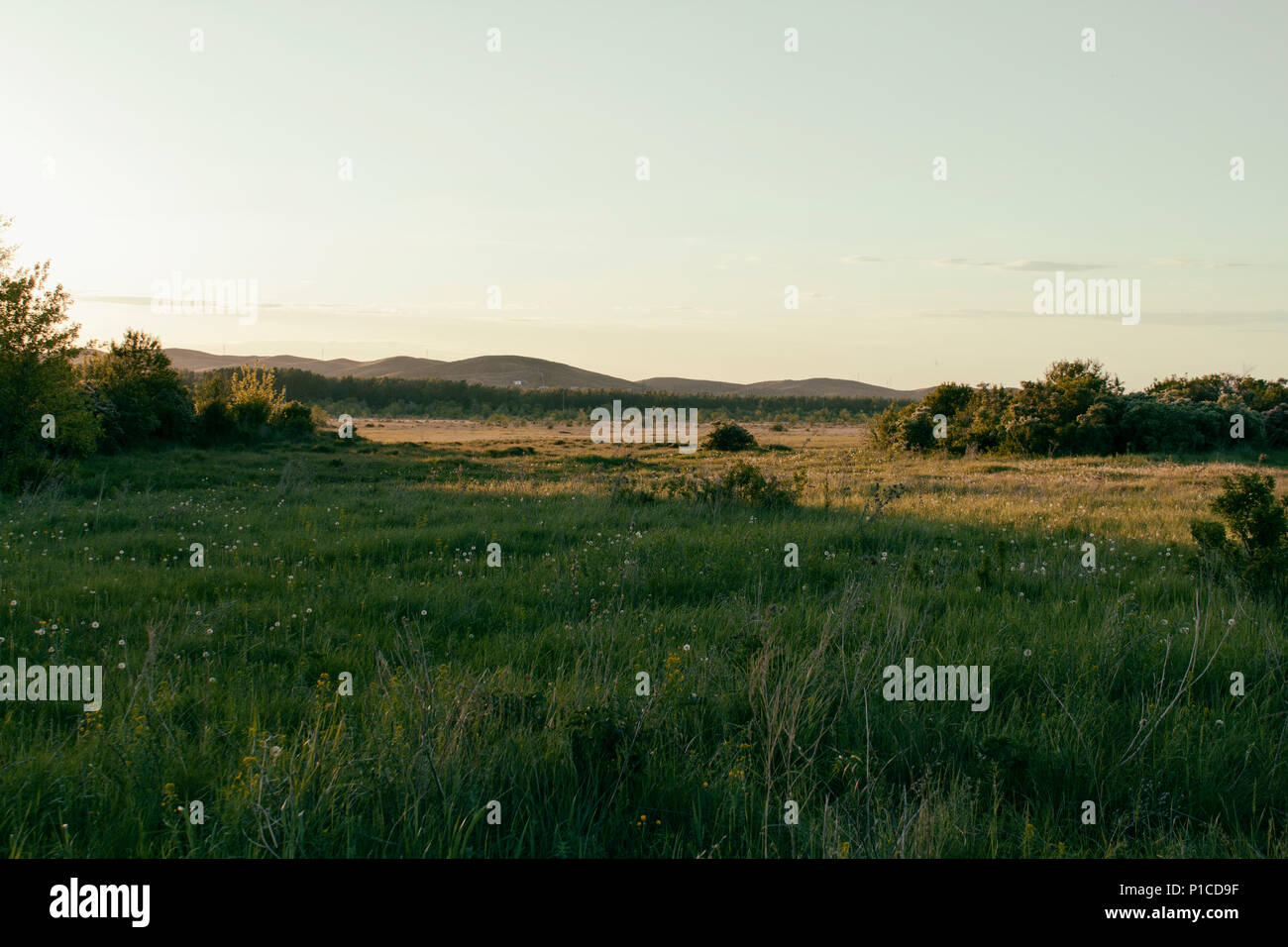 Steppe climate hi-res stock photography and images - Alamy