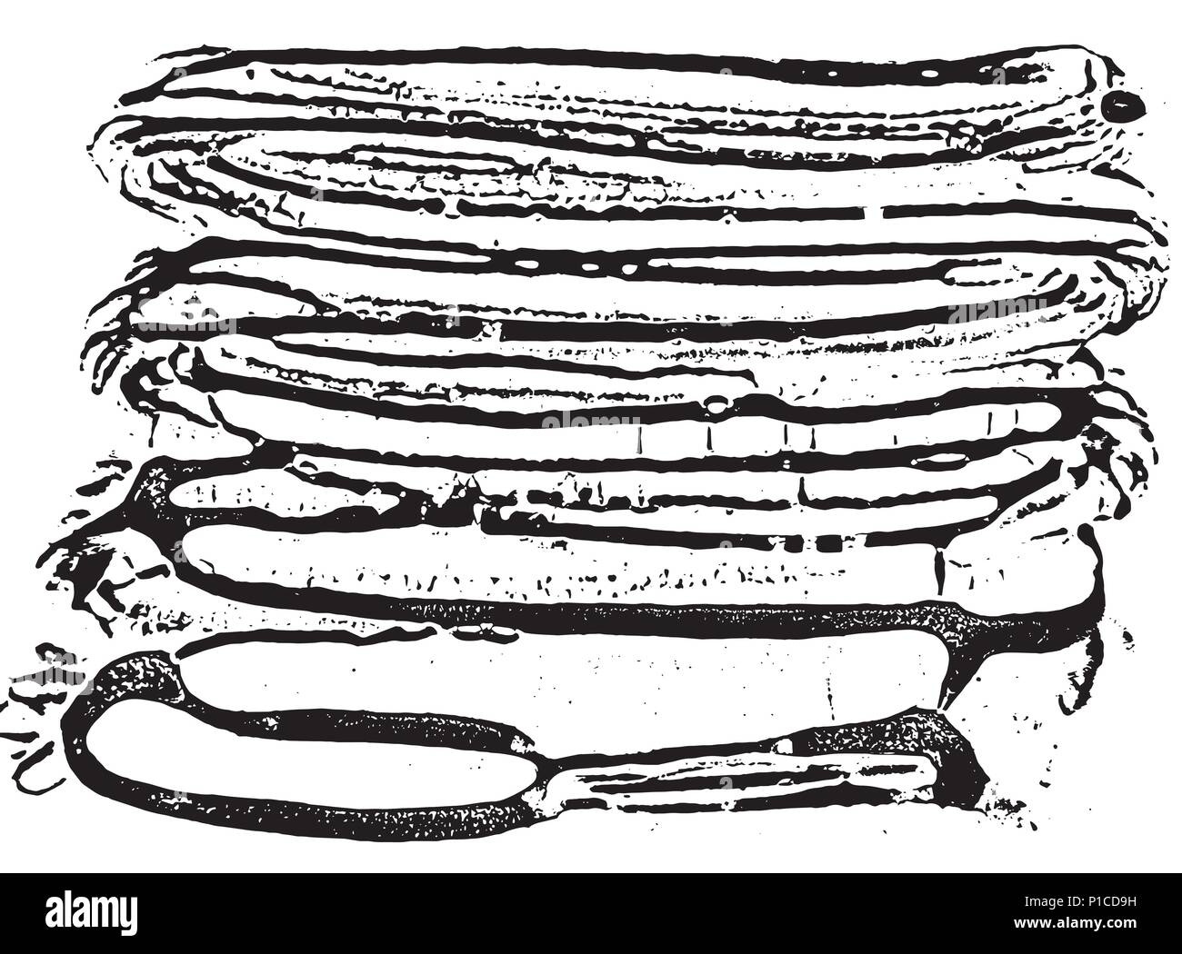 Ink vector sponge background. Vector illustration. Grunge hand drawn ...