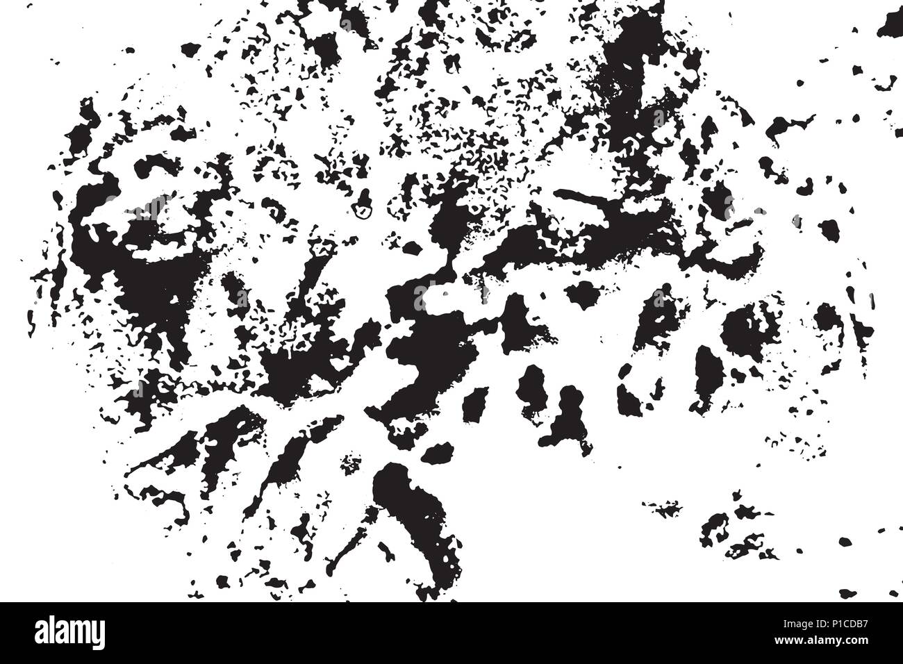 Ink vector sponge background. Vector illustration. Grunge hand drawn ...