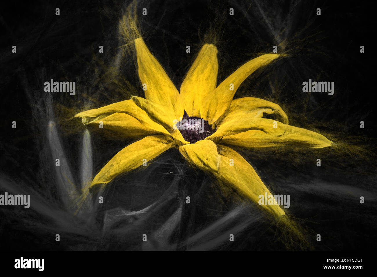 The unknown one Stock Photo - Alamy