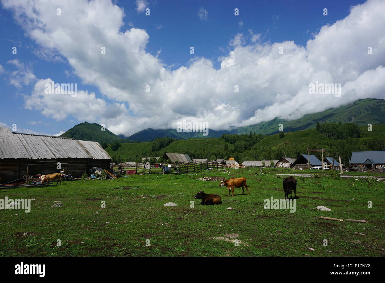 Hemu village hi-res stock photography and images - Alamy