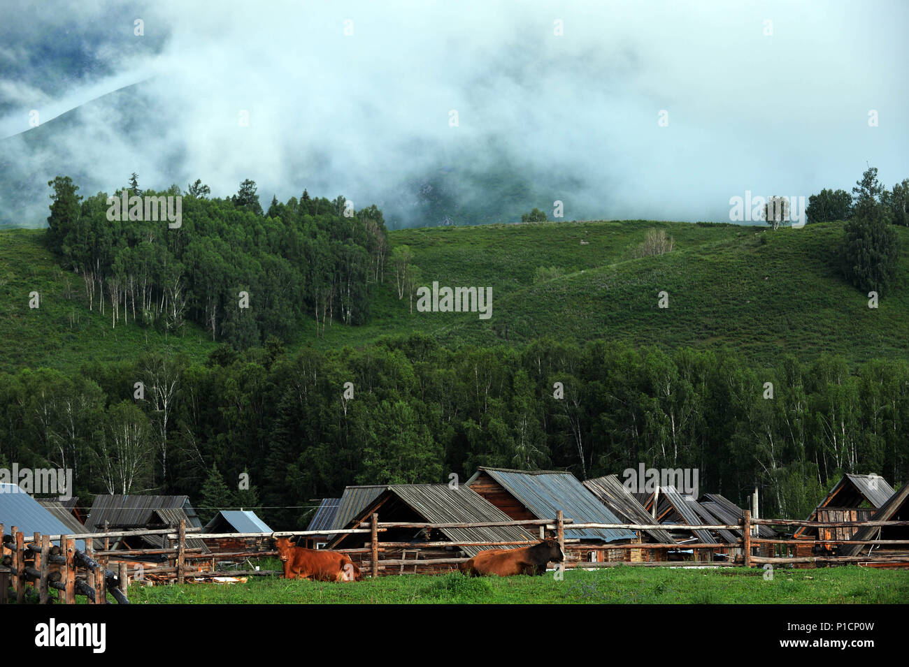 June 12, 2018 - Hemu, Hemu, China - Hemu, CHINA- Scenery of Hemu ...
