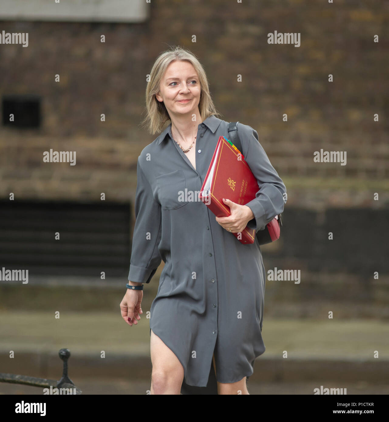 Downing Street, London, UK. 12 June 2018. Elizabeth Truss, Chief ...