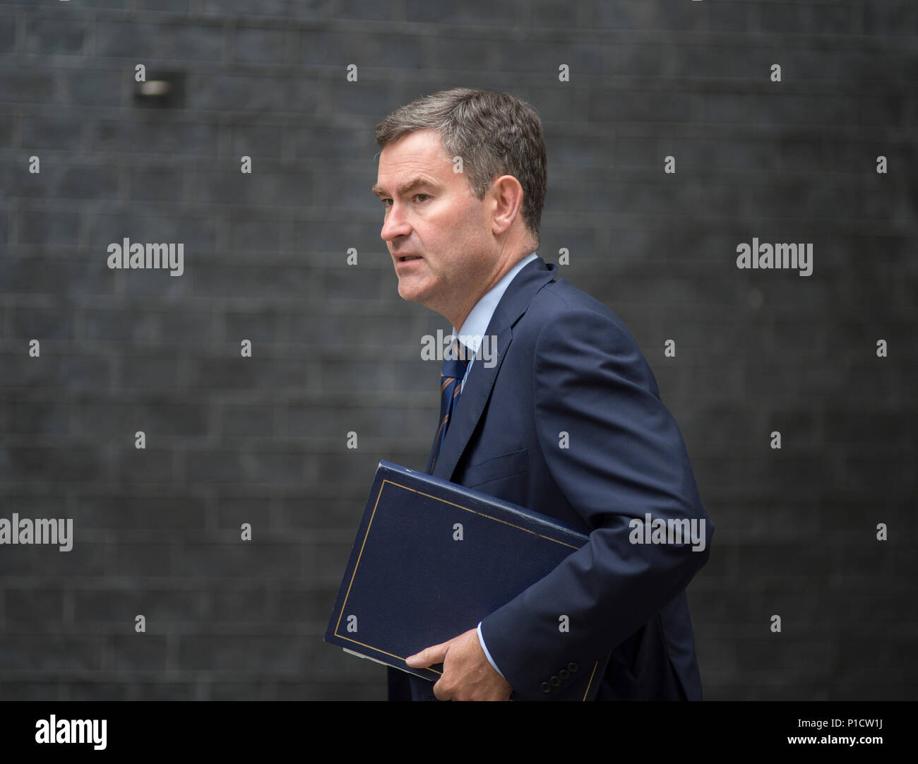 2018 david gauke mp hi-res stock photography and images - Alamy