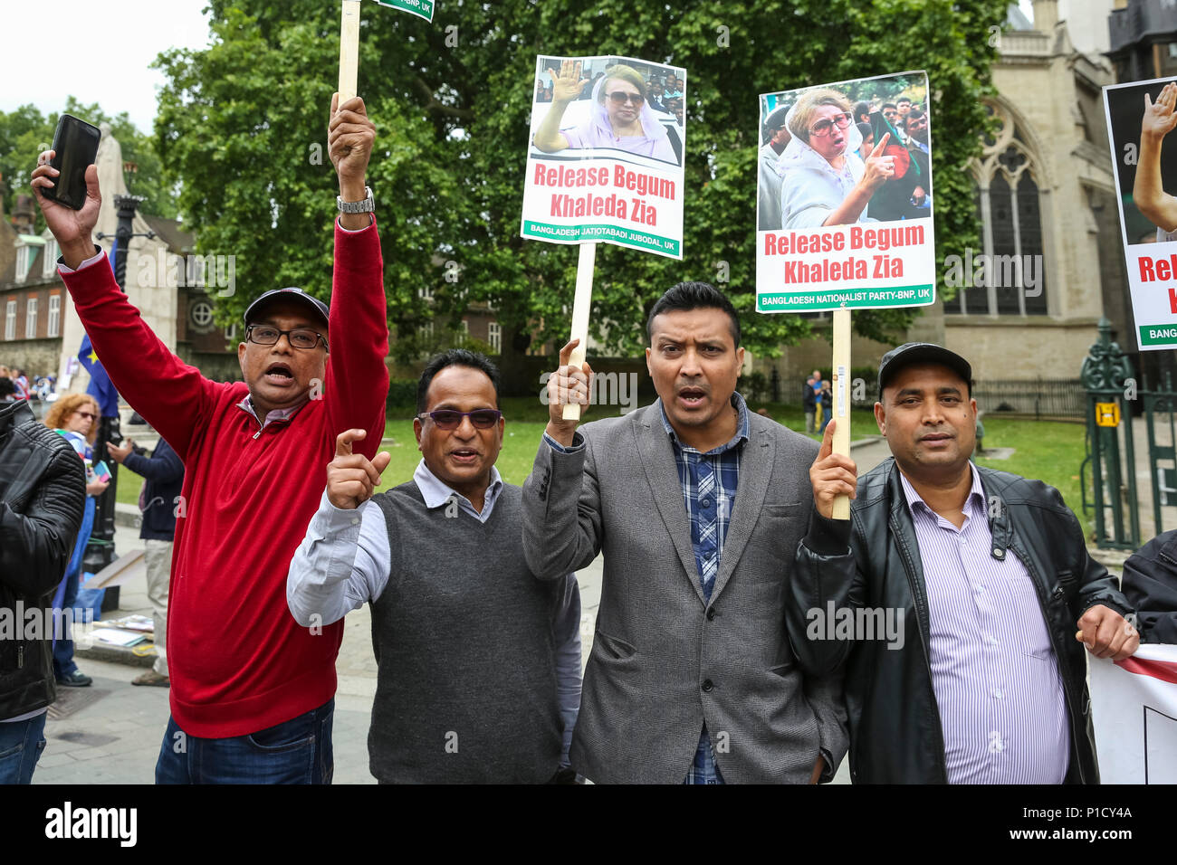 Westminster, London, UK, 12th June 2018. Members and affiliates of the ...