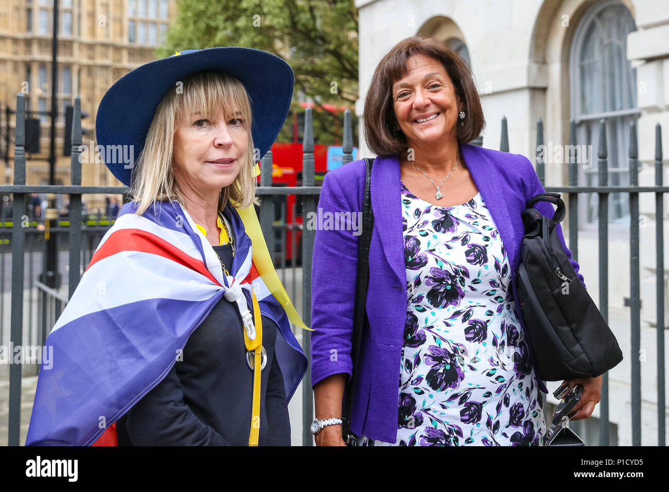 Baroness ros altmann hi-res stock photography and images - Alamy