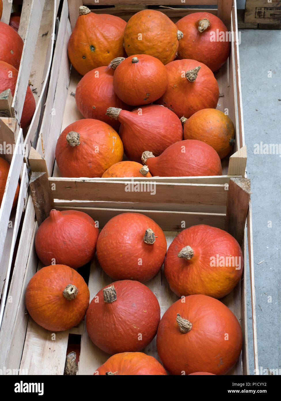 Pumpkin warehouse hi-res stock photography and images - Alamy